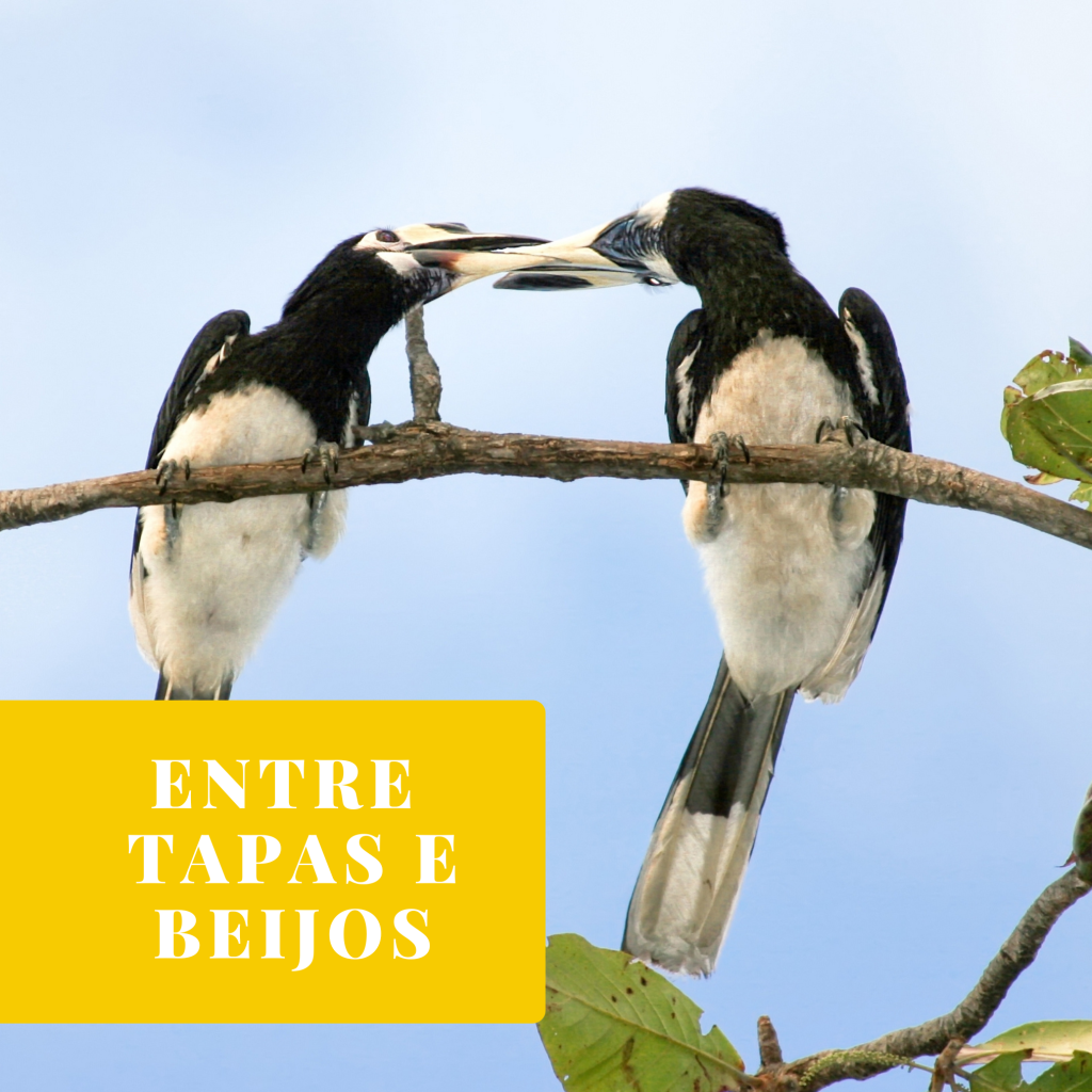 ENTRE TAPAS E BEIJOS | Necchio Persona